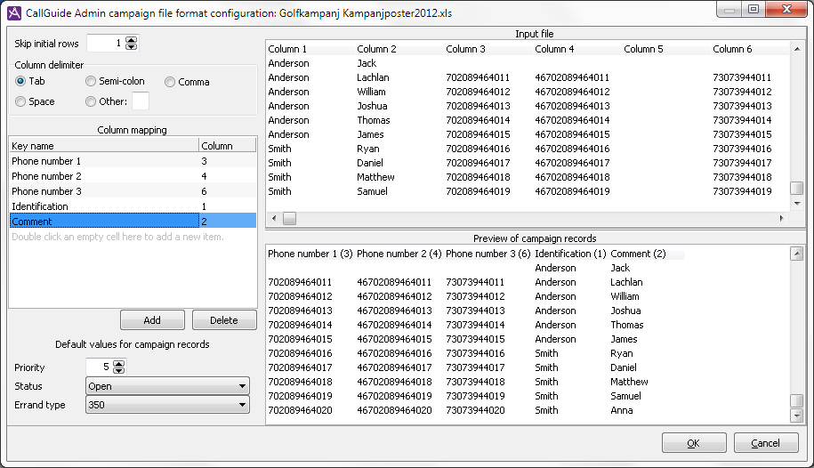 Call records’ import file format window